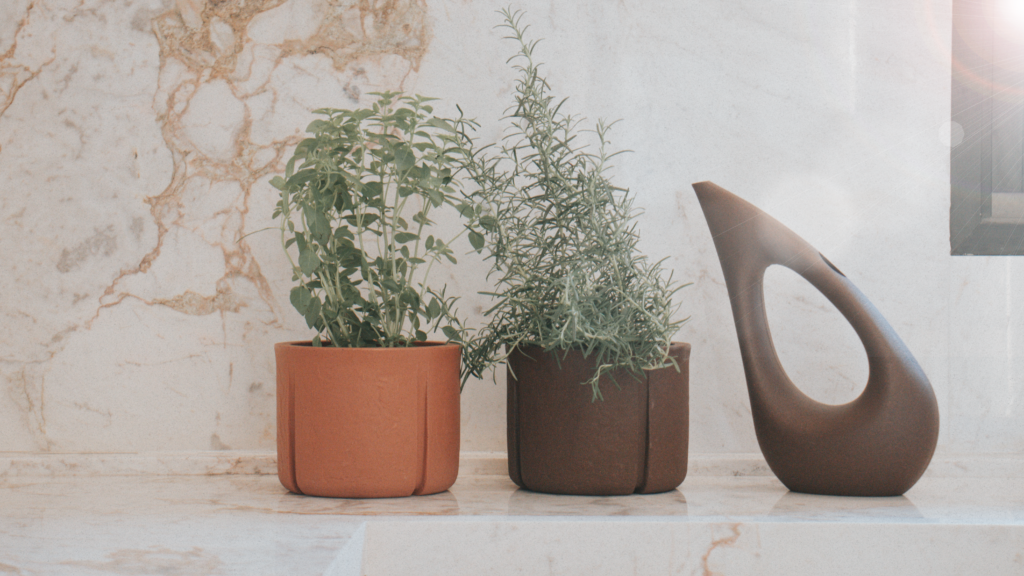 Cultivando Frutas e Verduras: Dicas Essenciais - VASAP DESIGN