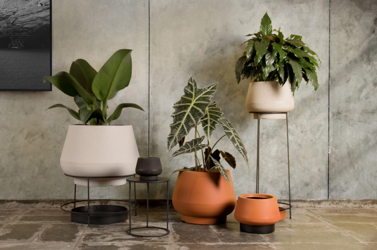 Como escolher o prato ideal para o seu vaso - VASAP DESIGN